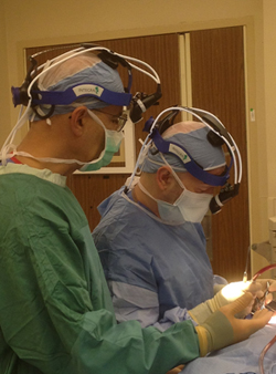 Ear, Nose, & Throat Doctor Baltimore | Maryland ENT | Fellowship