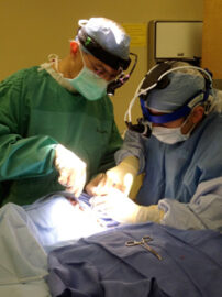 Ear, Nose, & Throat Doctor Baltimore | Maryland ENT | Fellowship